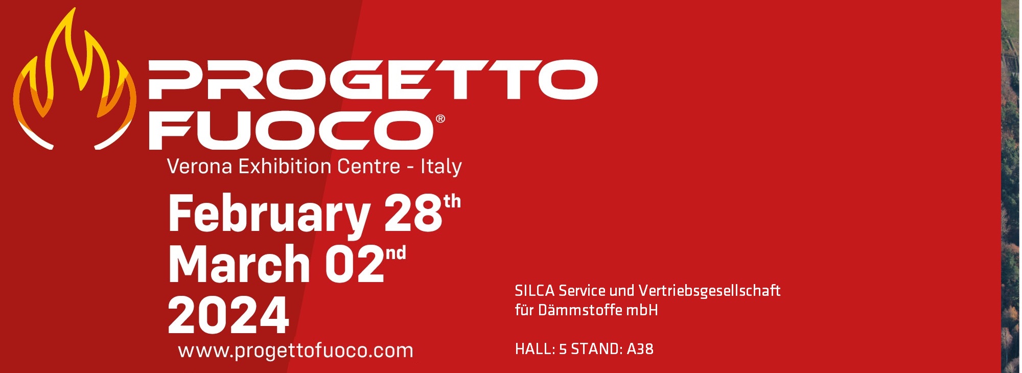 Domestic fireplaces and chimneys